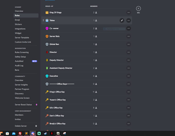 Create a discord for you with custom roles by Asghayas | Fiverr
