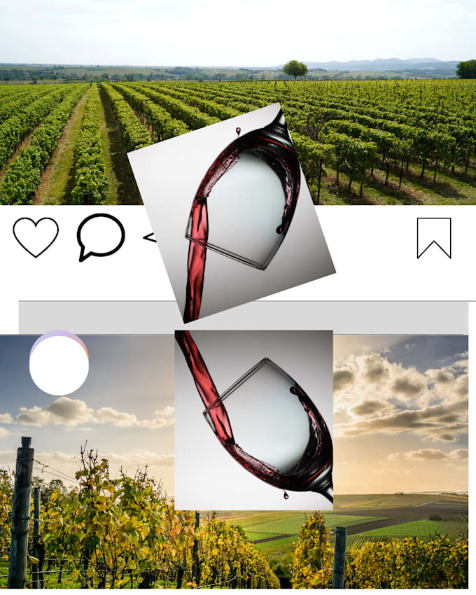 Design amazing instagram post for your business by Ameenaabbasi204 | Fiverr