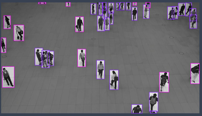 Annotate, tag and label data for ai and ml algorithms by Amir_gazi | Fiverr