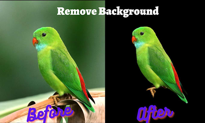 Do clean, clear ,replace ,white and remove background from image by ...