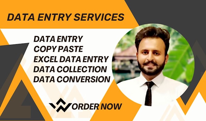 Do data entry, web research, copy paste, excel, web scraping by Numannaseer0709 | Fiverr