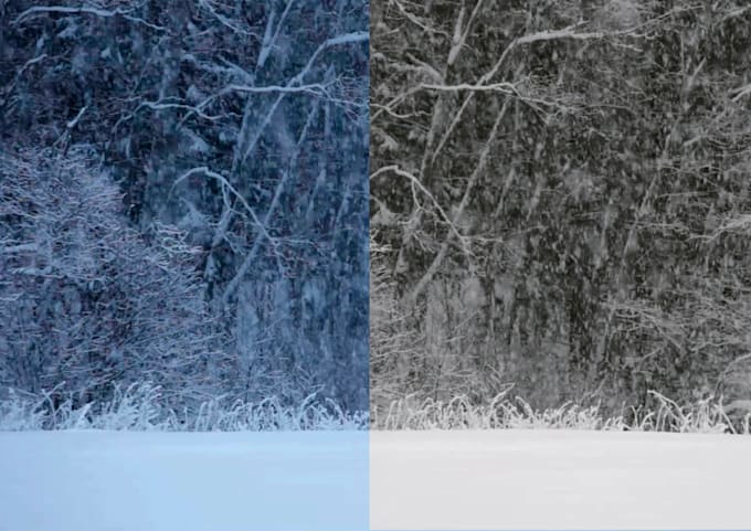 Make a creative color grading by Anaplasenciag | Fiverr