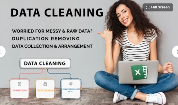 Do excel data cleaning, formatting, data cleanup, remove duplicate data by Crazylyricsstar | Fiverr