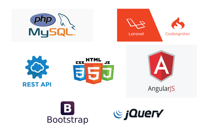 Find And Remove Any Bugs In Php Codeigniter Laravel Angular Js By Swairashabbir Fiverr