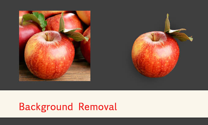 Remove or replace the background of your photo by M3lissa_b | Fiverr