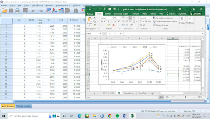 Organize and analyze your all of your data by Myriamibarra | Fiverr