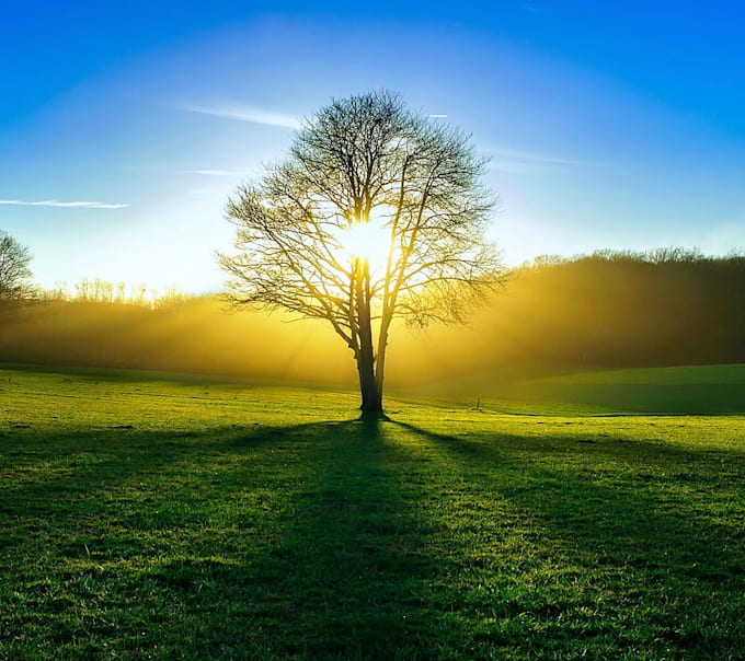 Help You Achieve Your Goals Through My Writing Skills By Hussainpak786 help-you-achieve-your-goals-through-my-writing-skills-by-hussainpak786