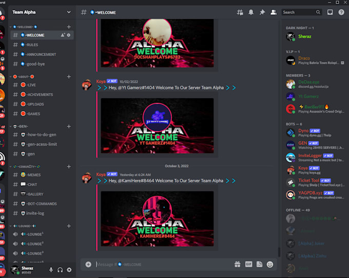 Create a professional discord server with the best design by Sheraznizamani | Fiverr