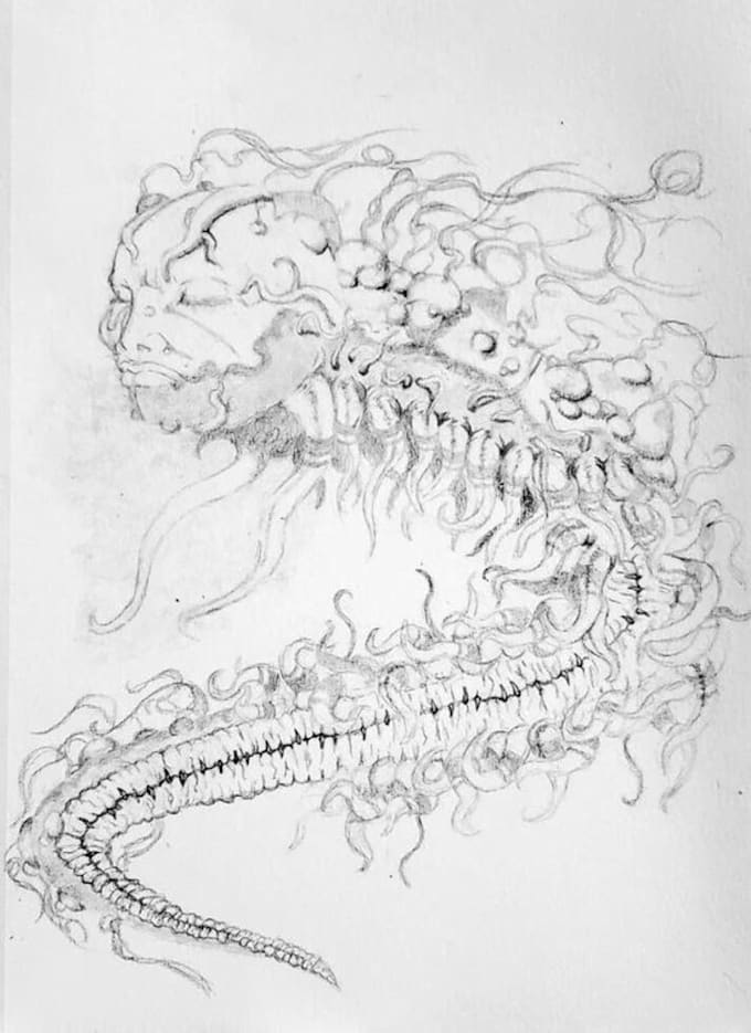 Create unique and interesting character designs by Ledarrius_j | Fiverr