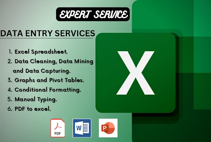 Create excel spreadsheet and do data entry work in one day by Ibrar_a_mir | Fiverr