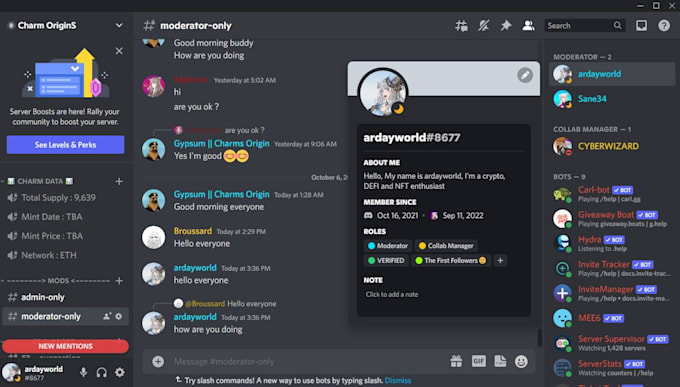 Manage your discord server by Ardayworld | Fiverr