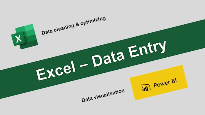 Do every excel data entry, cleaning and visualisation by Florian013 ...