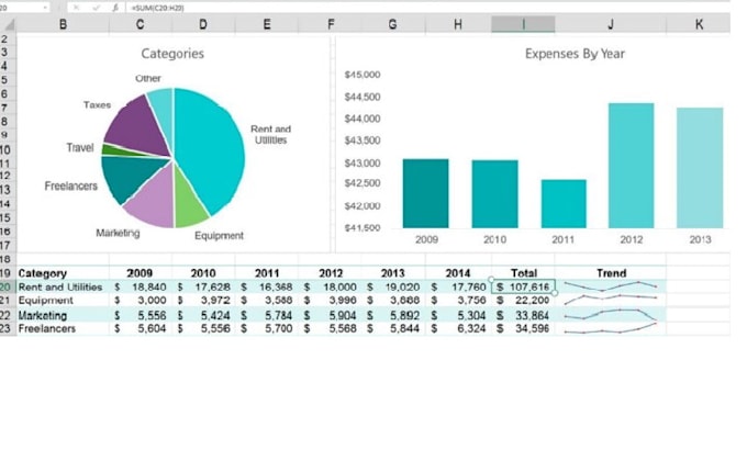 Provide excel data visualization with reports,graphs,charts by Ravi_4 ...