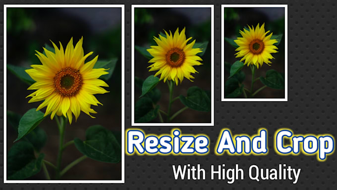Do image resize crop image remove photo background with original ...