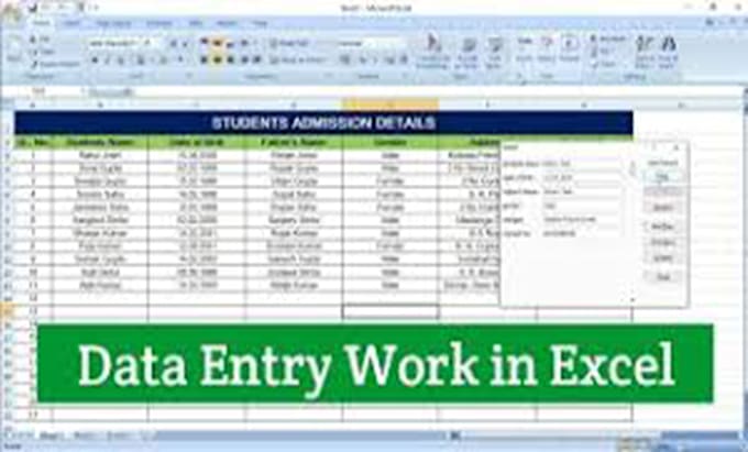 Do an excel data entry work by Josemarialavuna | Fiverr