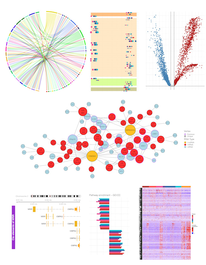 Analyse your gene expression data by Dama_theseqhub | Fiverr