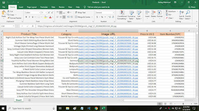 Do data entry, copy paste, data entry collection, pdf to word or excel by Lakshmanmanne | Fiverr
