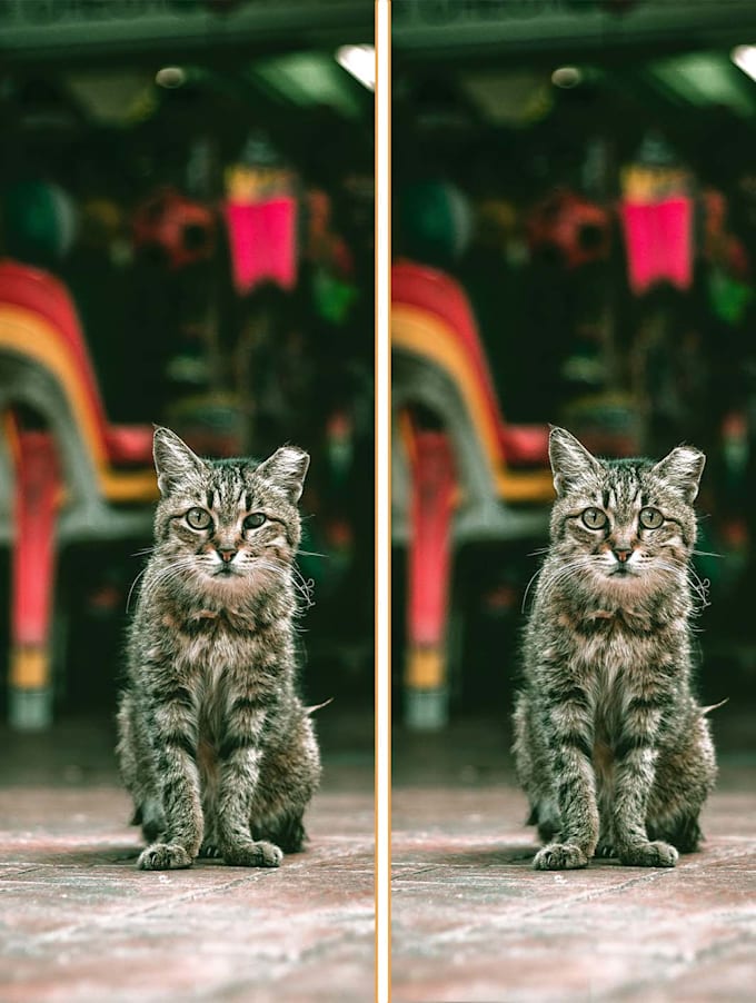 Do photoshop editing and banner add making , poster design by ...