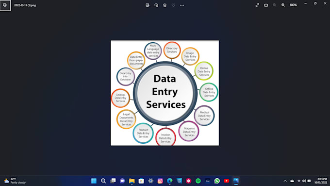 Do Data Entry Copypaste Data Collection Pdf To Excel By Anith63054 Fiverr