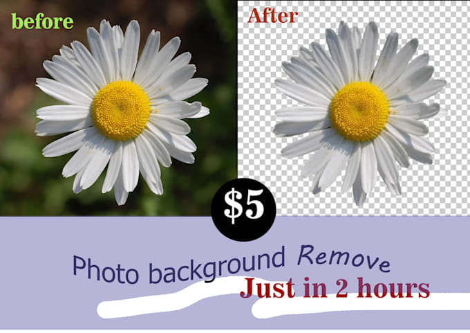 Remove background from image just in 2 hours by Cahyo1000 | Fiverr