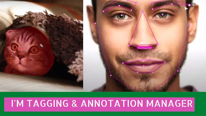 Accurately data labeling image tagging annotation for ml ai models by Mohsinteam | Fiverr