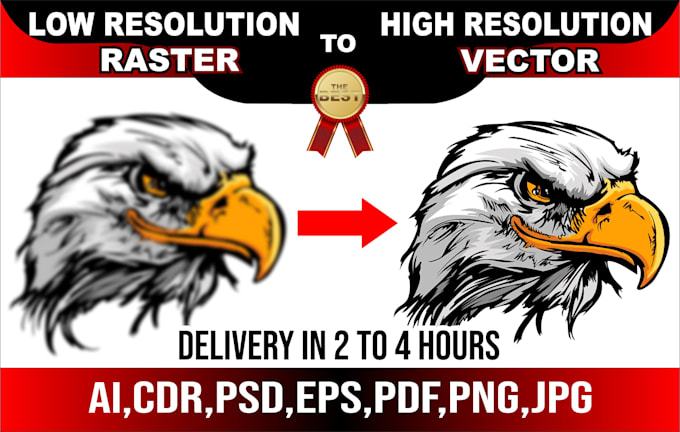 Convert raster logo, image into in high resolution by redrawing by ...