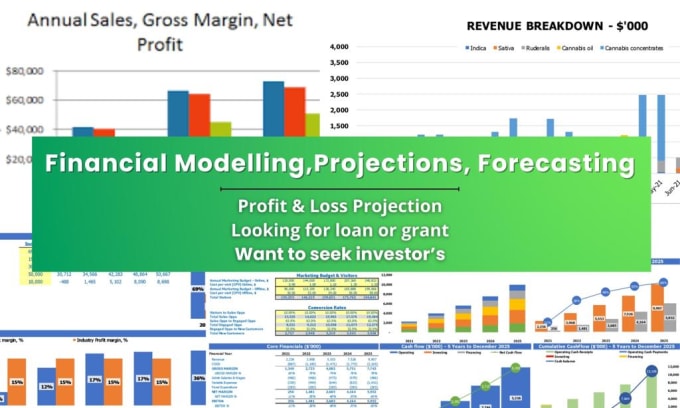 Create Investor Ready Financial Projections Forecasting Modeling By