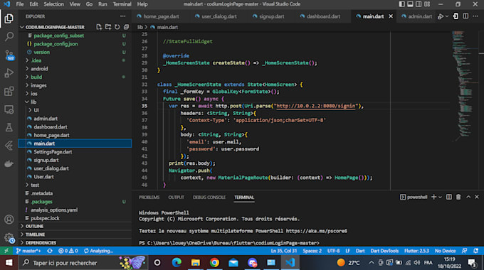 Help you solving your problem with flutter by Loueyboubguira | Fiverr