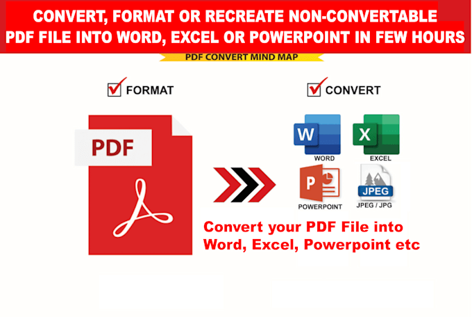 Retype or convert scanned pdf to word excel etc by Qudratbaraka | Fiverr