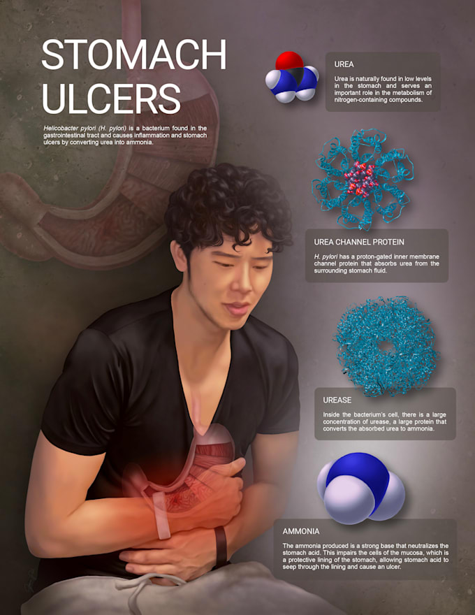 Create realistic 2d or 3d illustrations or animations by Joanne_park ...