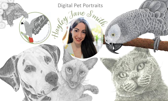 Draw realistic pet portraits of any type of pet by Hayleyjanesmith | Fiverr