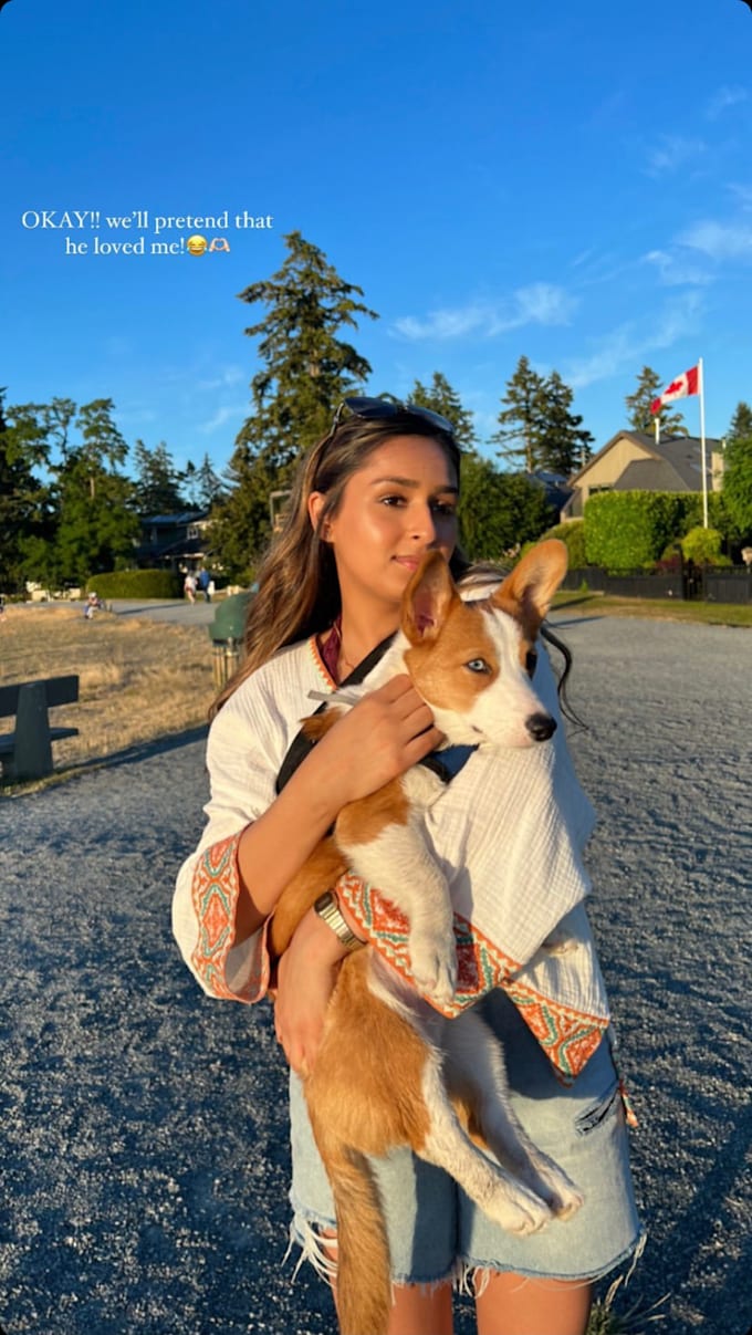 Help training your dog by Scooby001 | Fiverr