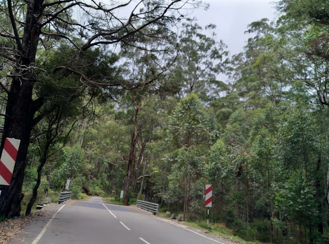 Deliver professional street photographs of sri lanka by Nimash_001 | Fiverr