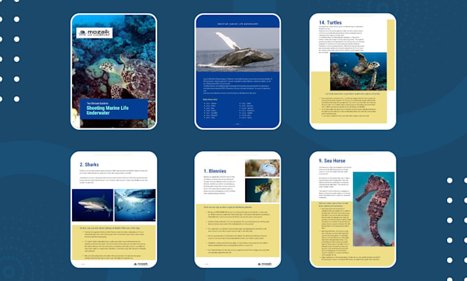 Design book layout, typeset by Ai_workshop | Fiverr