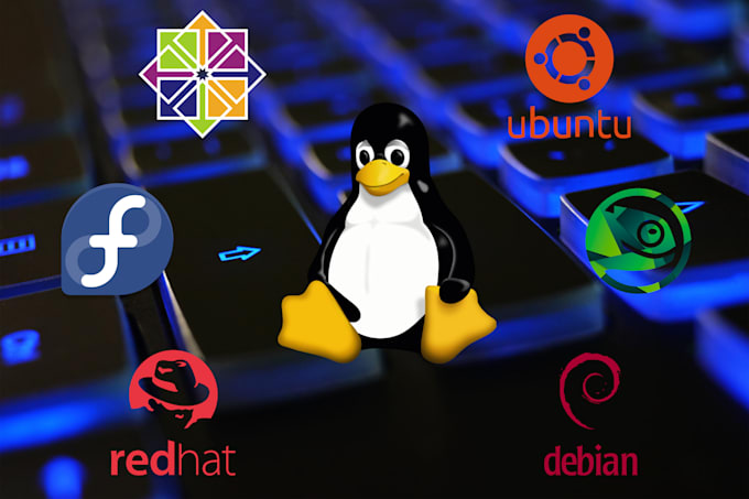 Install and configure your linux server issues by Claire_20 | Fiverr