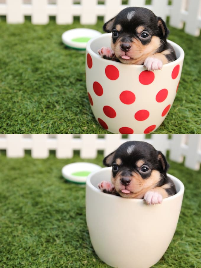 Remove unwanted or unsightly objects from most any photo by ...