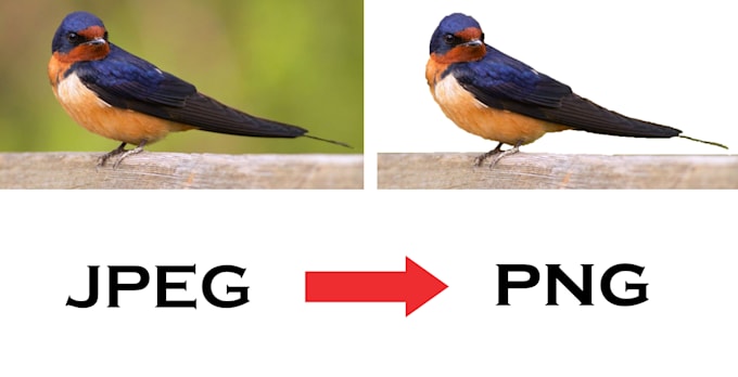 Convert jpg file to png file by Christian0830 | Fiverr Convert jpg file to png file by Christian0830 | Fiverr
