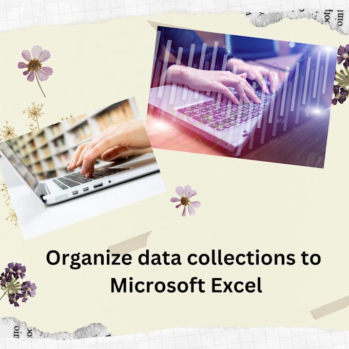 Organize data using microsoft excel by Chiekay | Fiverr