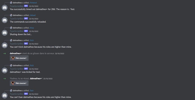 Create you a discord bot and send you the sourcecode by Dalmatheo | Fiverr