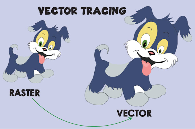 Do vector tracing, jpeg to vector, raster to vector and redraw logo by Nisaumer99 | Fiverr