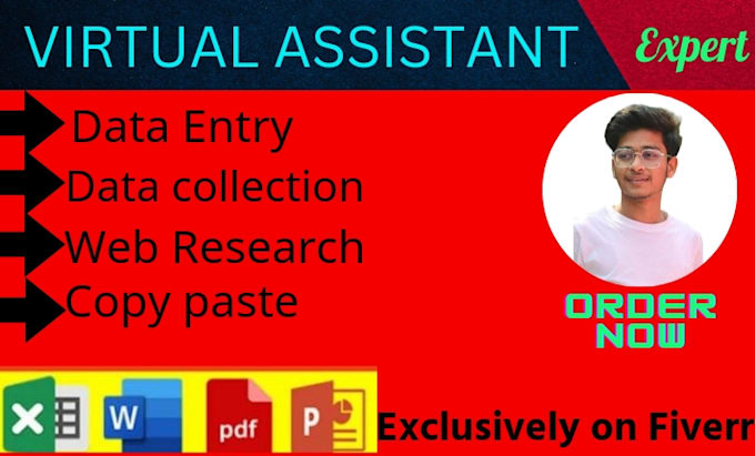 Do perfect data entry, excel, scraping, typing, copy paste by Rahimhasan929 | Fiverr