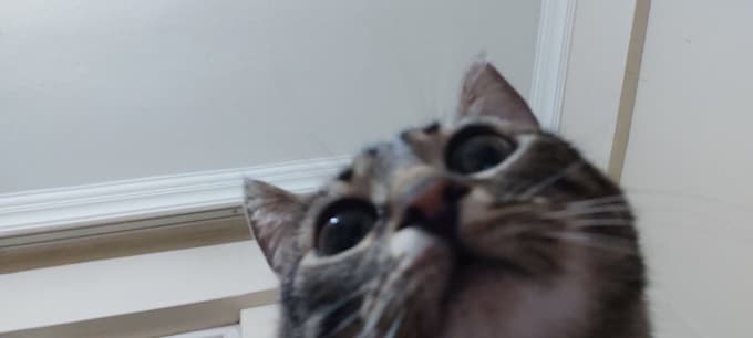 Accept project for data analysis econometrics and statistics by ...