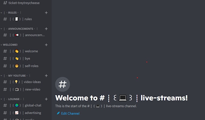 Make you a discord server by F1reworks1 | Fiverr