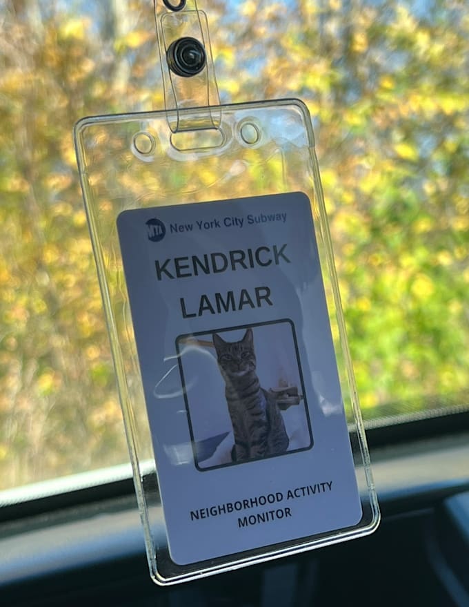 Design and print a really cute id card for your pet by Alabasterpeaks ...