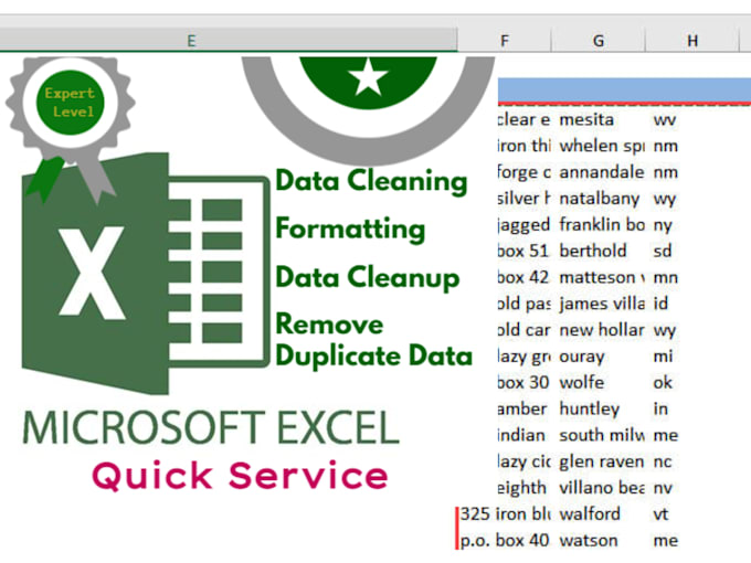 Do data cleaning, formatting, data claenup, remove duplicate data by Abdelouahednaci | Fiverr