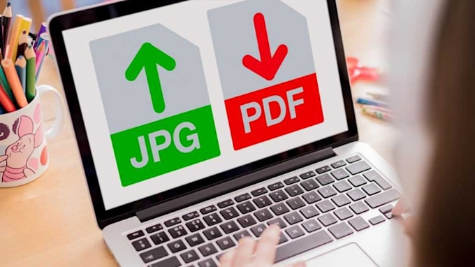 Convert your jpeg images into word or excel by Umerzaib940 | Fiverr