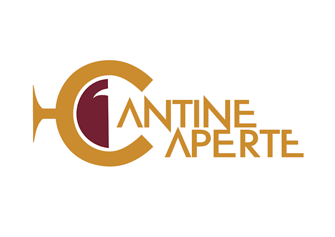 Transform your idea into a professional logo by Mattiaammirati | Fiverr