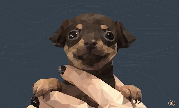 Draw you low poly vector art by Lsgraphics22 | Fiverr