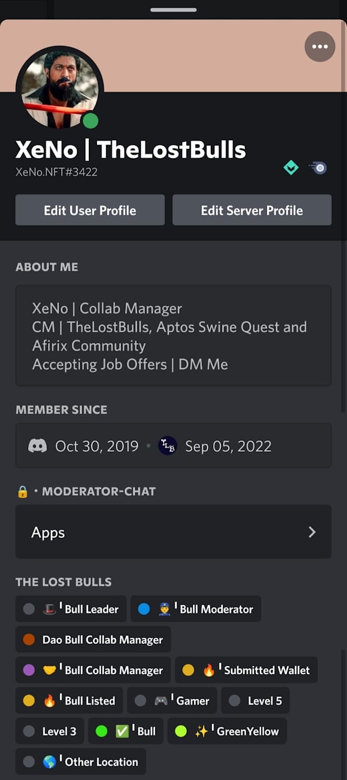 Do discord moderation in nft project by Sohanrajput199 | Fiverr