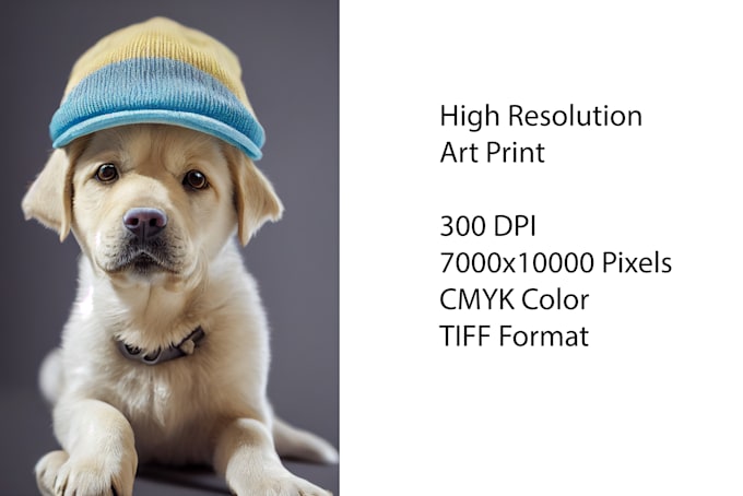 Create high resolution print quality photorealistic art by Kim_mcimedia ...